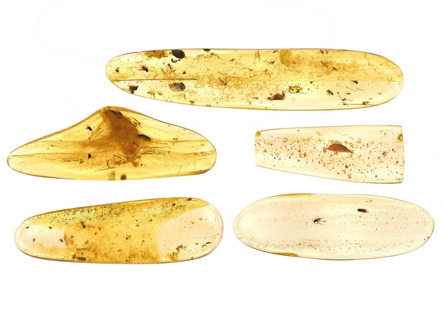 Bernstein- und Kopal-Sets zum Kaufen