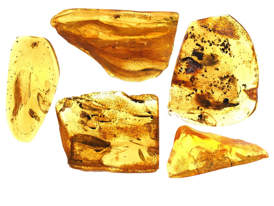 Bernstein- und Kopal-Sets zum Kaufen