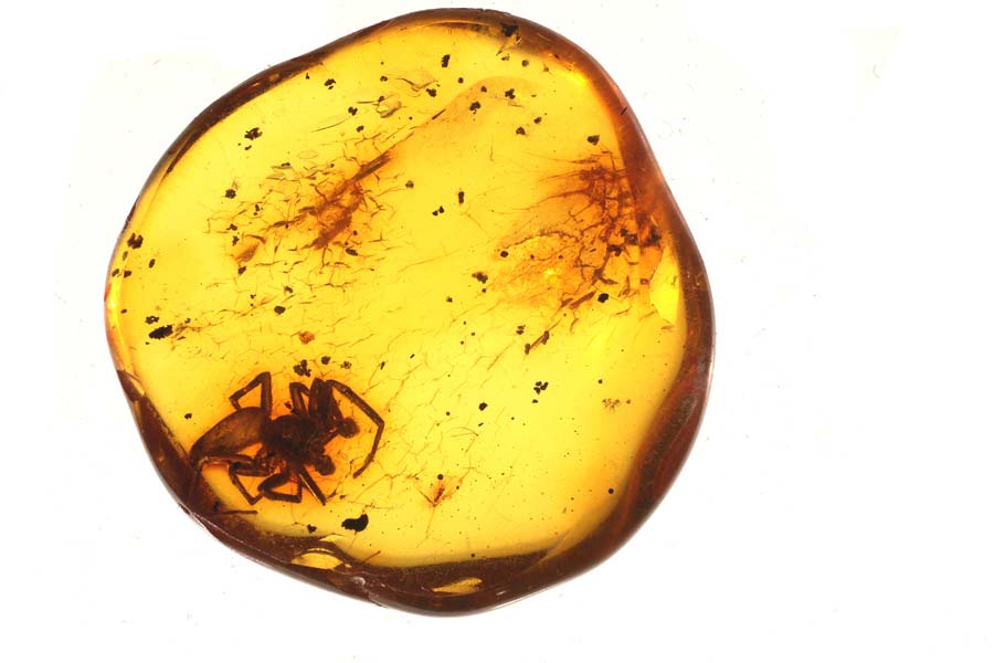 Bernstein aus dem Baltikum