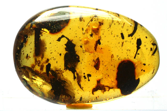 Bernsteine aus dem Baltikum mit Inklusen