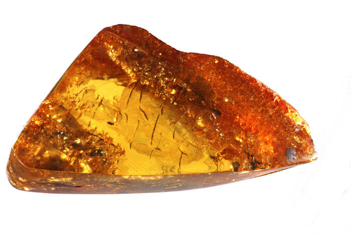 Bernsteine aus dem Baltikum mit Inklusen