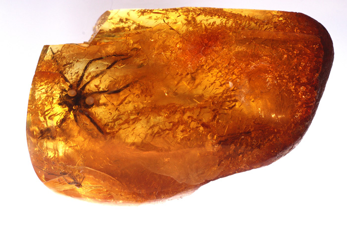 Bernsteine aus dem Baltikum mit Inklusen