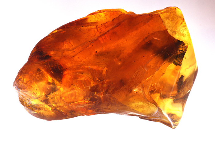 Bernsteine aus dem Baltikum mit Inklusen