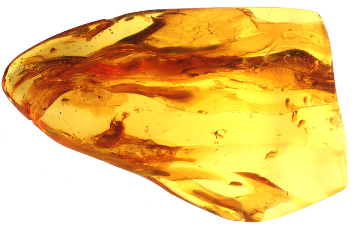 Bernsteine aus dem Baltikum mit Inklusen