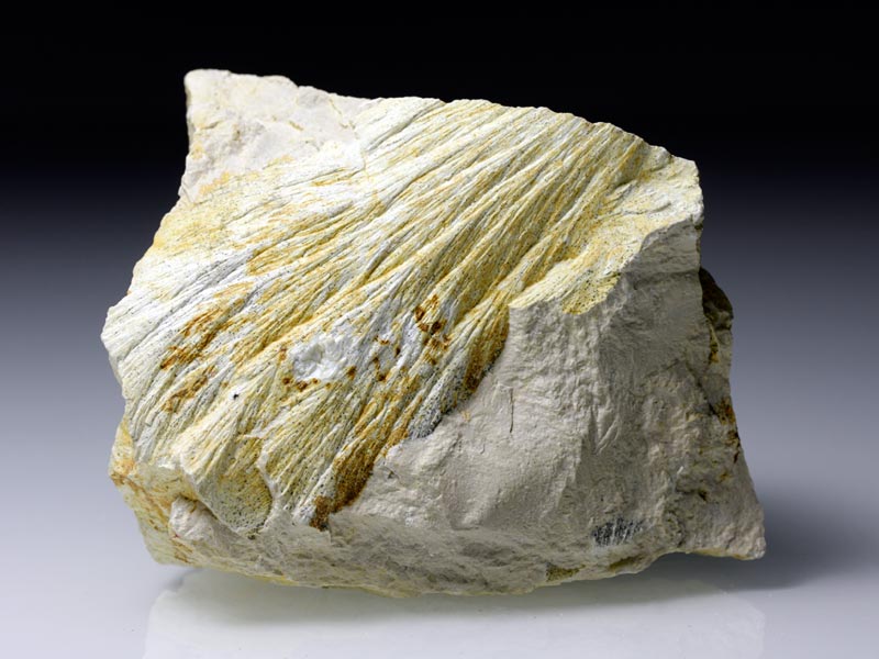 Impaktite (Suevit, Strahlenkalk, geschockte Belemniten) zum Kaufen