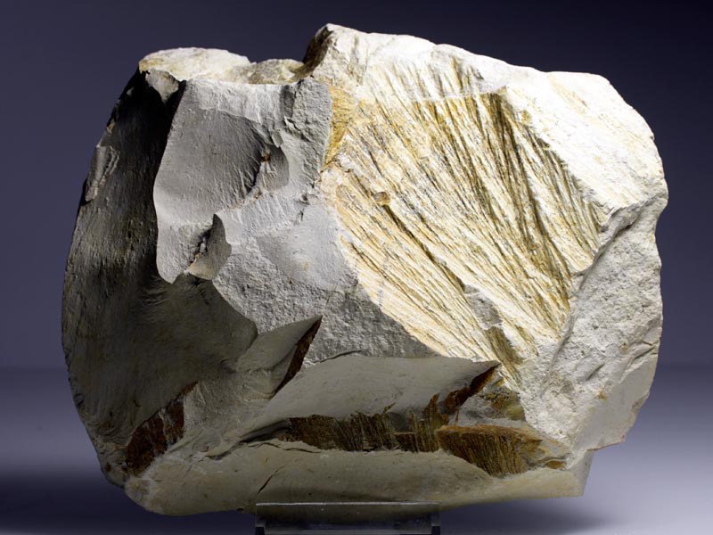 Impaktite (Suevit, Strahlenkalk, geschockte Belemniten) zum Kaufen