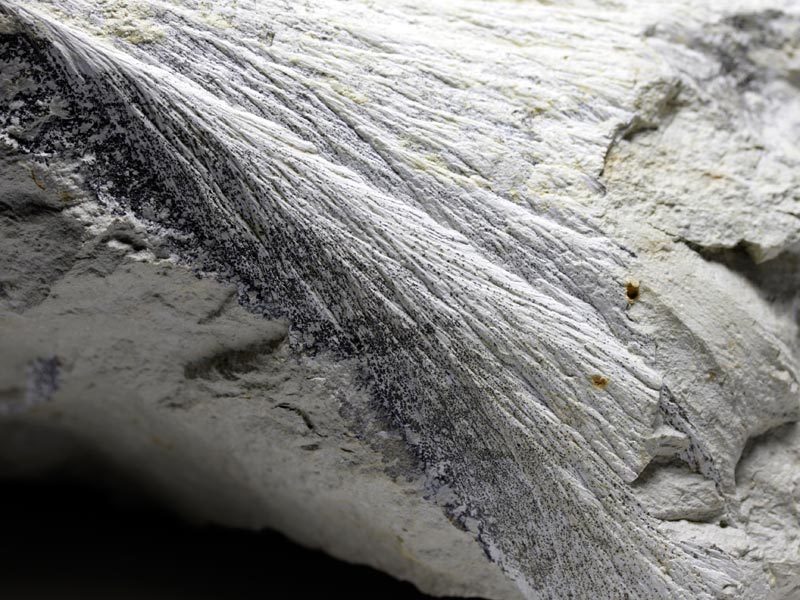 Impaktite (Suevit, Strahlenkalk, geschockte Belemniten) zum Kaufen