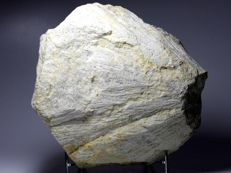 Impaktite (Suevit, Strahlenkalk, geschockte Belemniten) zum Kaufen