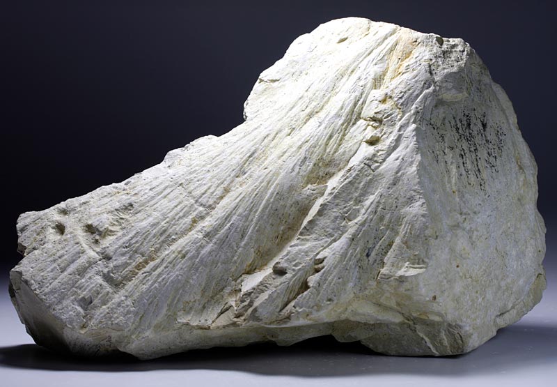 Impaktite (Suevit, Strahlenkalk, geschockte Belemniten) zum Kaufen