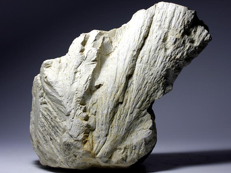 Impaktite (Suevit, Strahlenkalk, geschockte Belemniten) zum Kaufen