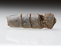 Impaktite (Suevit, Strahlenkalk, geschockte Belemniten) zum Kaufen