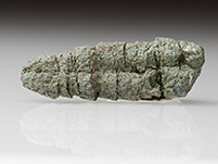 Impaktite (Suevit, Strahlenkalk, geschockte Belemniten) zum Kaufen