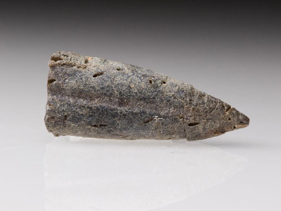 Impaktit: geschockter Belemnit