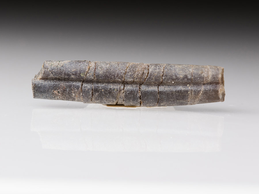 Impaktit: geschockter Belemnit