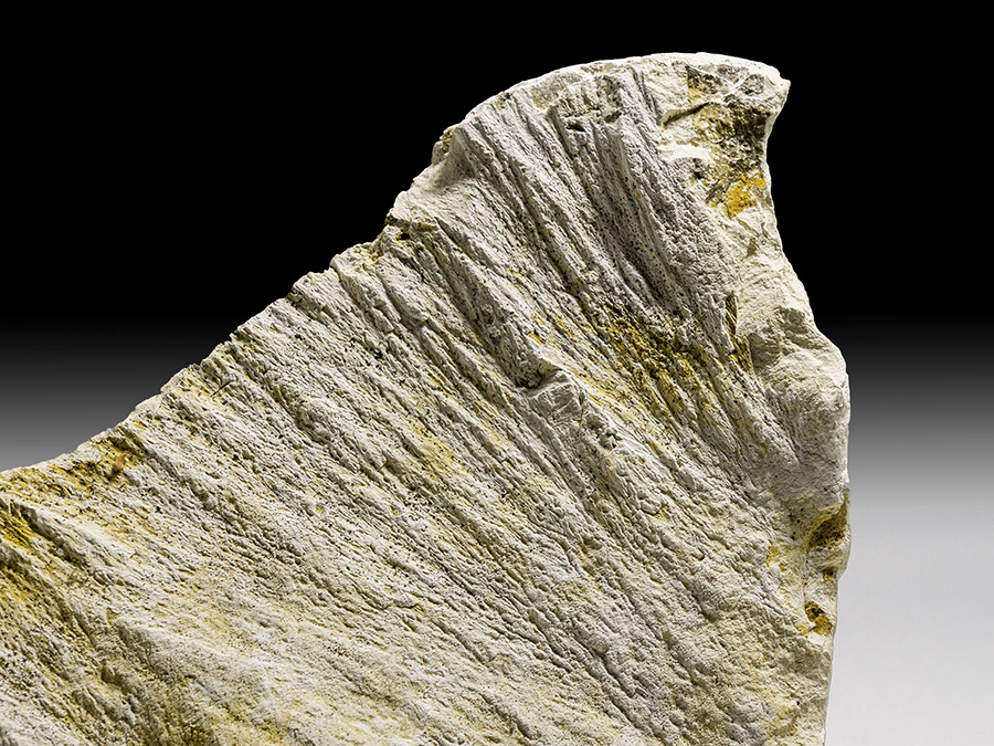 Strahlenkalke - Shatter Cones - zum Kaufen