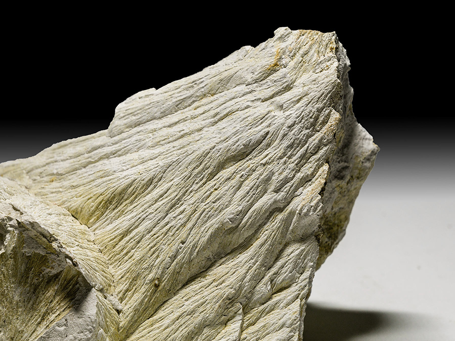 Strahlenkalke - Shatter Cones - zum Kaufen