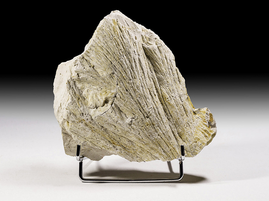 Strahlenkalke - Shatter Cones - zum Kaufen