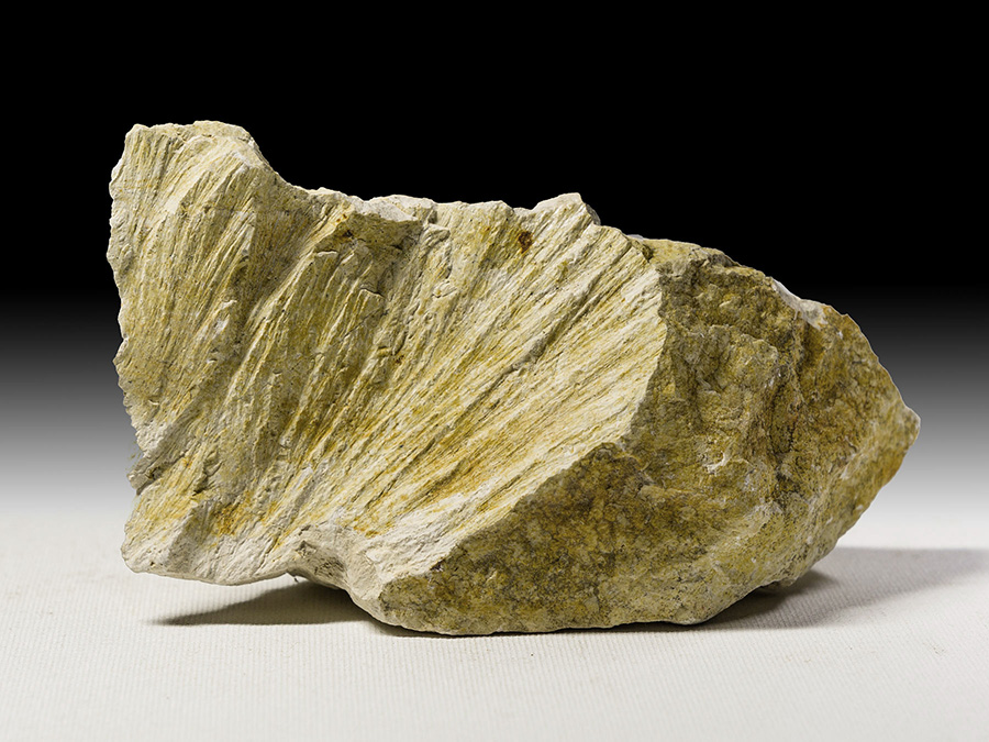 Strahlenkalke - Shatter Cones - zum Kaufen