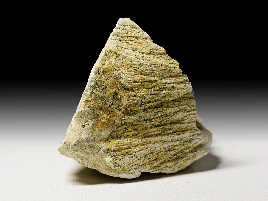 Strahlenkalke - Shatter Cones - zum Kaufen