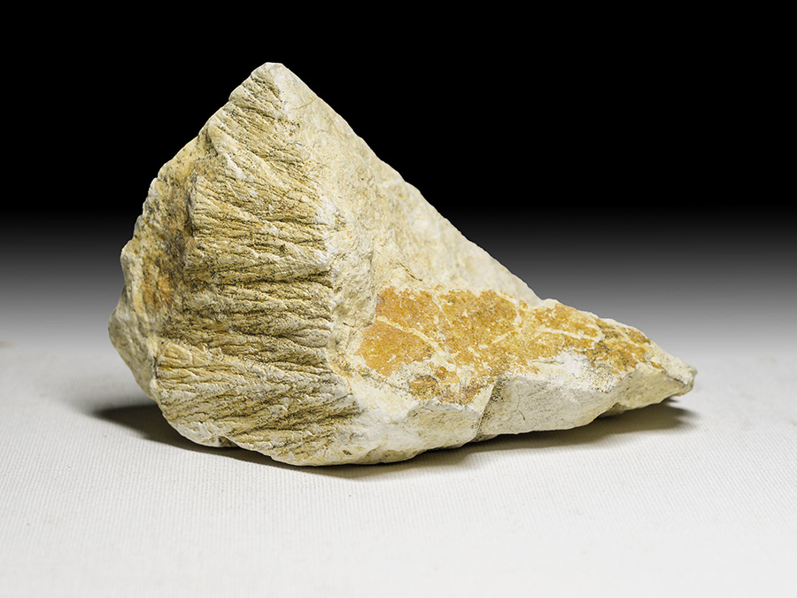 Strahlenkalke - Shatter Cones - zum Kaufen