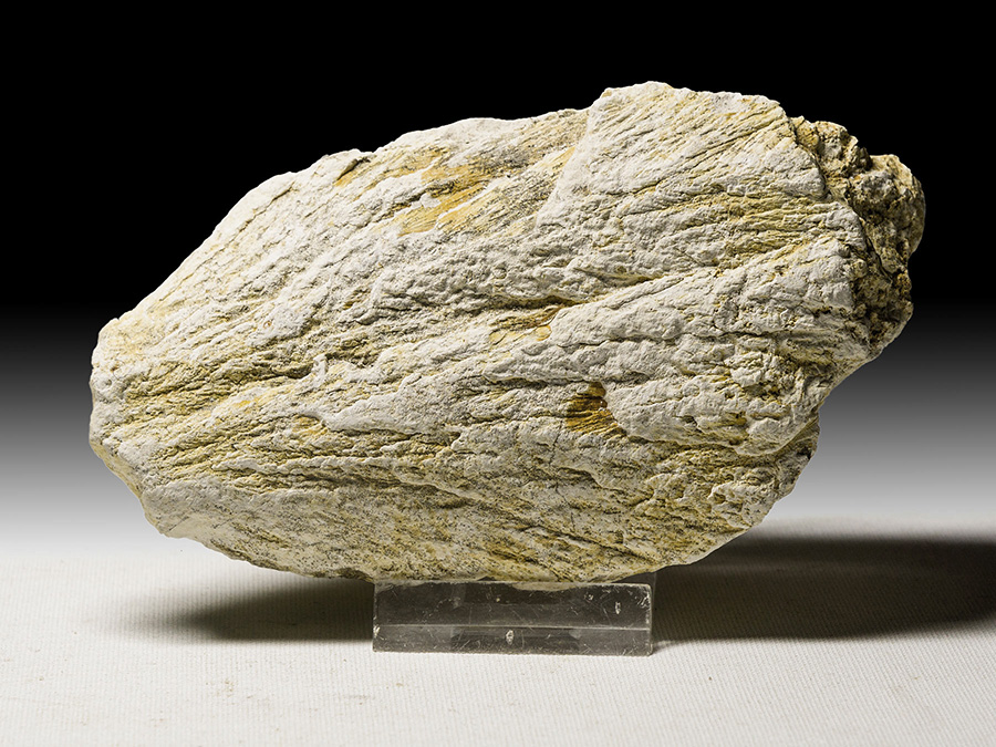 Strahlenkalke - Shatter Cones - zum Kaufen