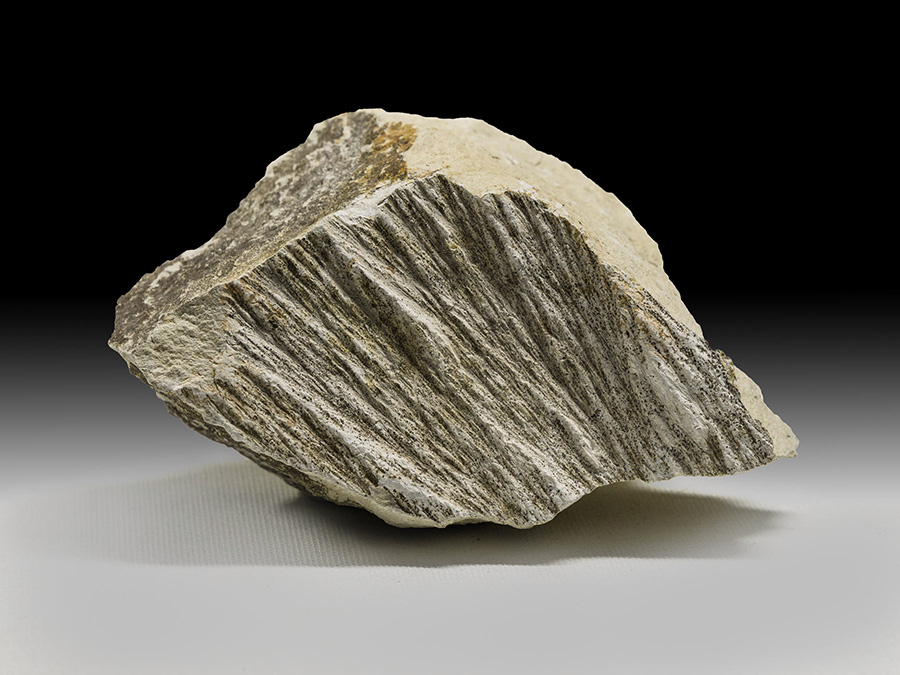 Strahlenkalke - Shatter Cones - zum Kaufen