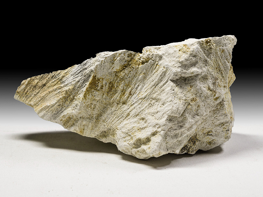 Strahlenkalke - Shatter Cones - zum Kaufen