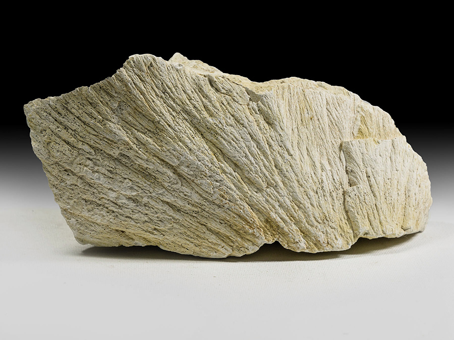 Strahlenkalke - Shatter Cones - zum Kaufen