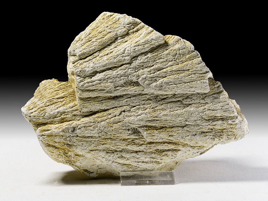 Strahlenkalke - Shatter Cones - zum Kaufen