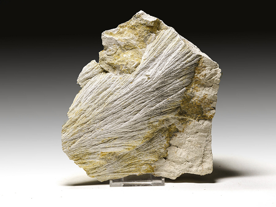 Strahlenkalke - Shatter Cones - zum Kaufen