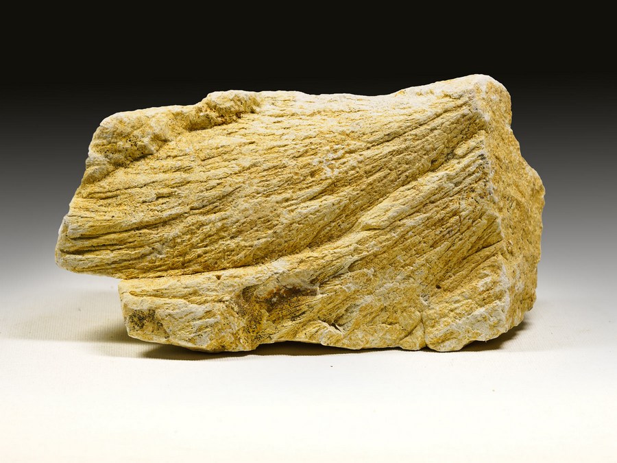 Strahlenkalke - Shatter Cones - zum Kaufen