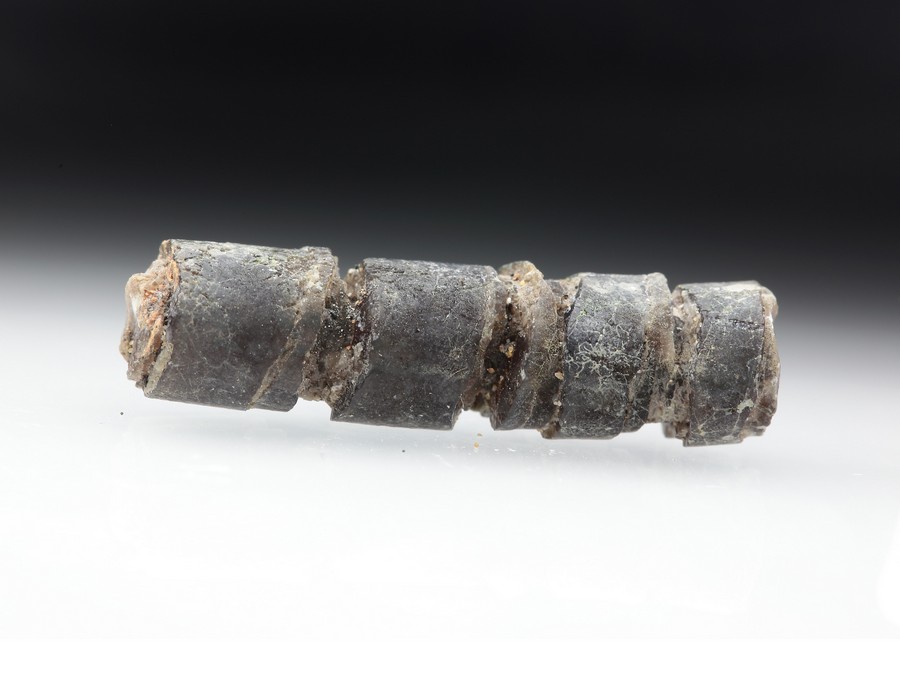 geschockte Belemniten zum Kaufen