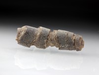 Impaktite (Suevit, Strahlenkalk, geschockte Belemniten) zum Kaufen