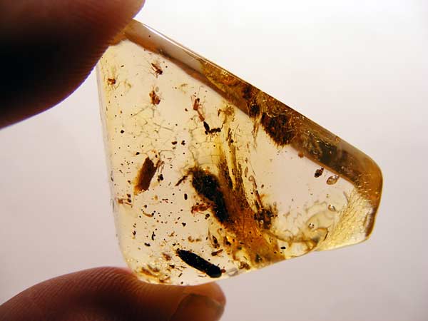 Dominikanischer Kopal mit Inklusen