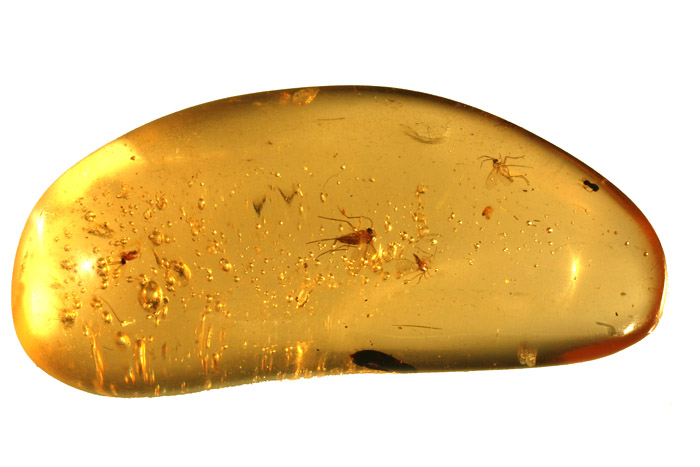 Kopal aus Madagaskar mit Inklusen