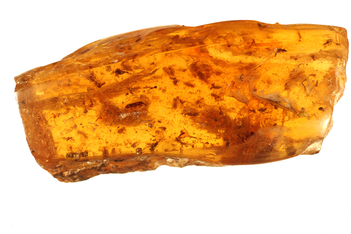 Kopal aus Madagaskar mit Inklusen