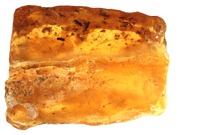 Kopal aus Madagaskar mit Inklusen