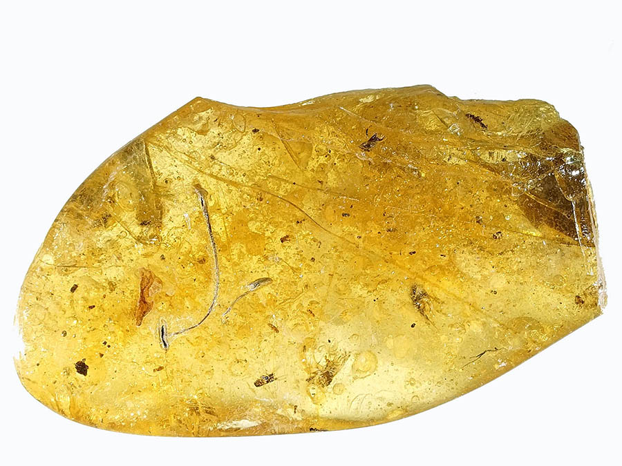 Kopale aus Madagaskar mit Inklusen zum Kaufen