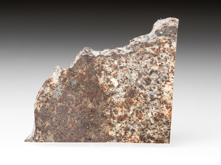 Scheibe eine Steinmeteoriten - NWA 869