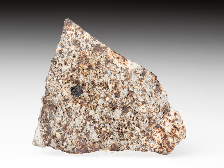 Scheibe eine Steinmeteoriten - NWA 869