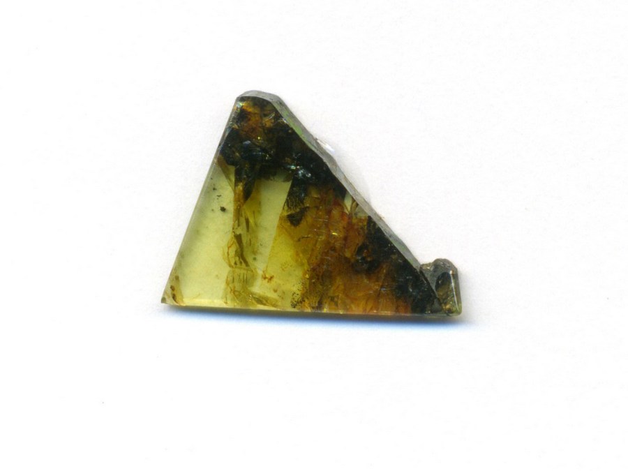Esquel Steineisenmeteorit aus Patagonien