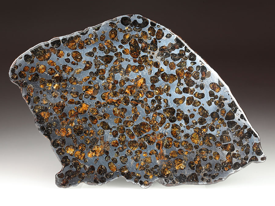 Pallasit - Steineisenmeteorit