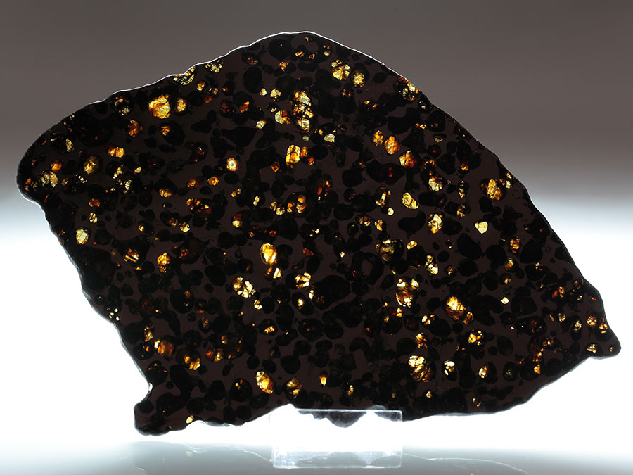 Pallasit - Steineisenmeteorit