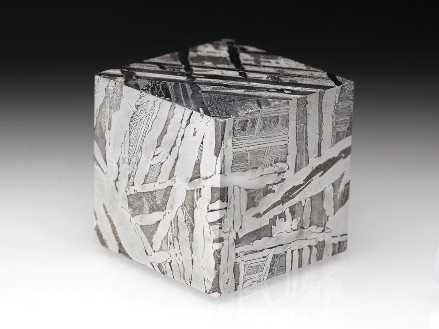 Pallasit - Steineisenmeteorit