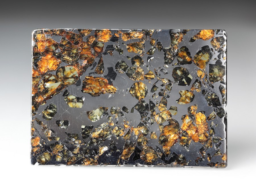 Pallasit - Steineisenmeteorit