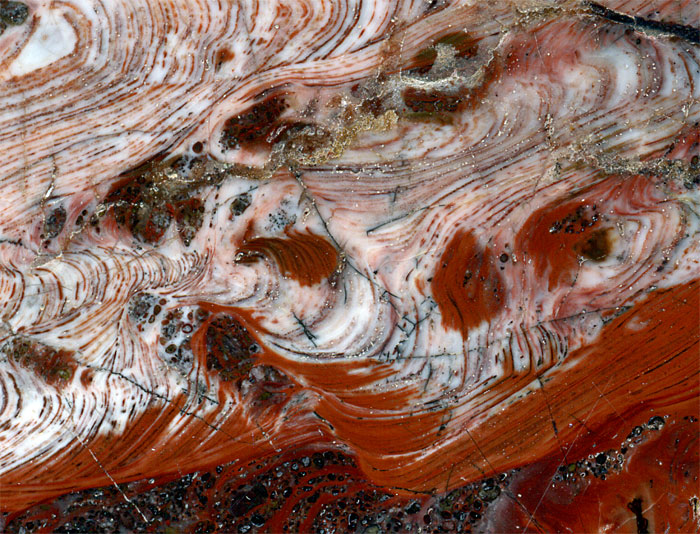 Stromatolithen und Einzeller